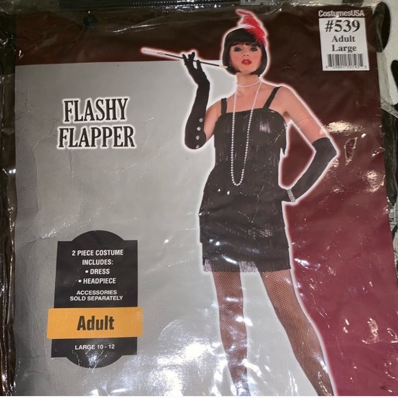 Dresses | Flashy Flapper Adult Halloween Costume | Poshmark